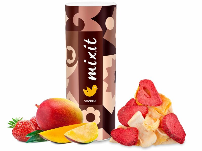 Fructe liofilizate crocante (uscate prin închețare) | Mixit.ro | Mixit.ro