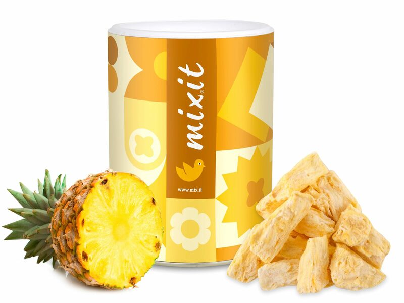 Knusprige lyophilisierte Früchte (gefriergetrocknete) | Mixit.de